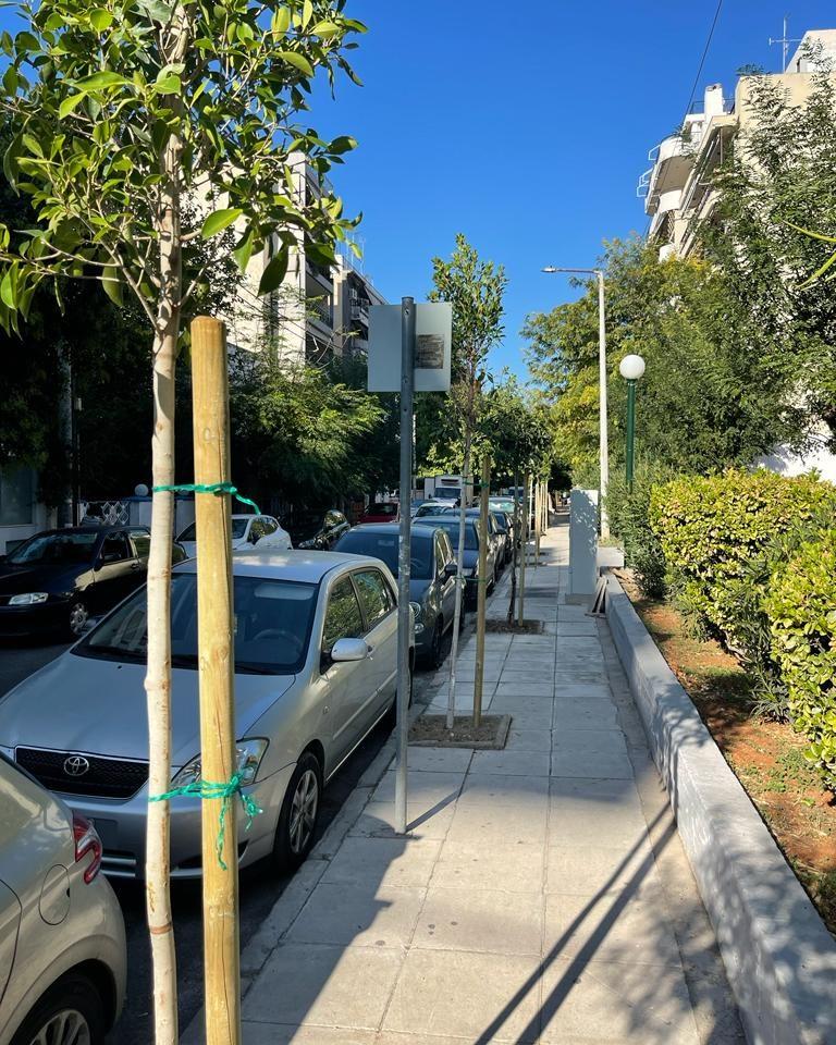 Δήμος Πειραιά:50 νέα δένδρα φυτεύονται στην περιοχή του Νέου Φαλήρου