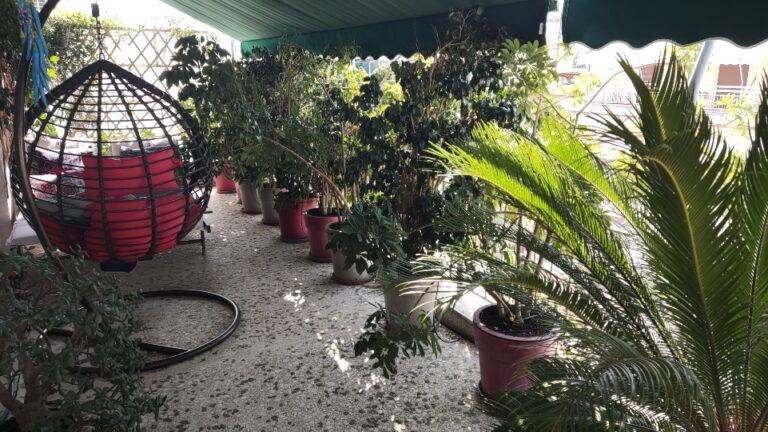 Δήμος Αθηναίων: Ψήφισε τα πιο πράσινα μπαλκόνια των κατοίκων της Αθήνας